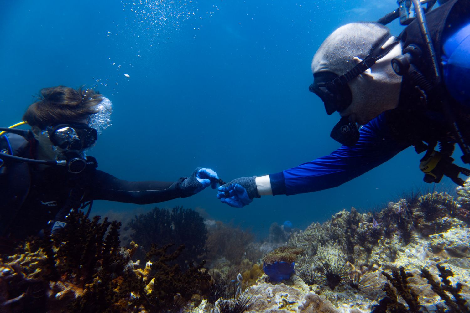 SAVING THE DEEP: ARE DIVERS PART OF THE SOLUTION FOR PROTECTING THE ...